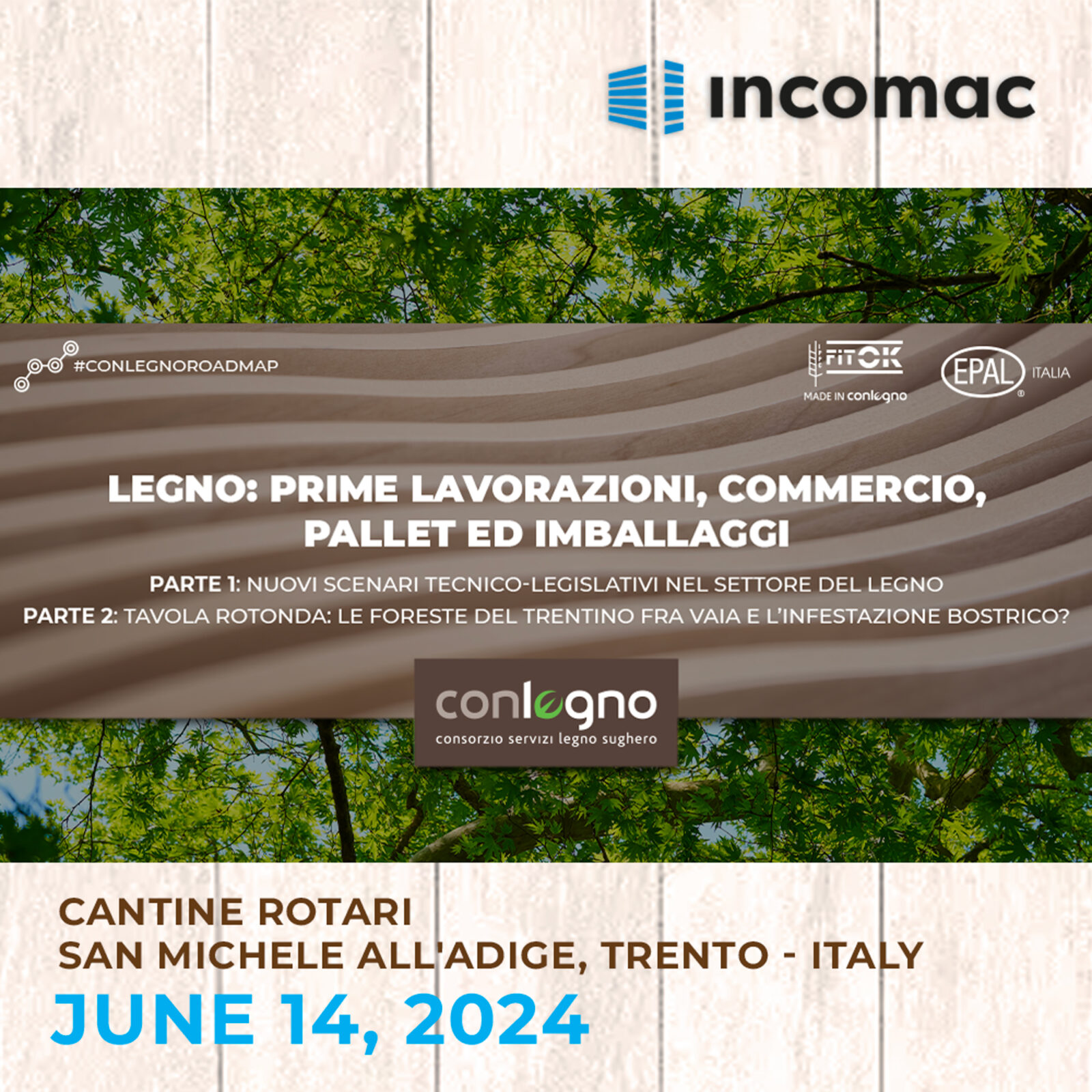 Leading Manufacturer of Wood Drying Kilns | Incomac Srl